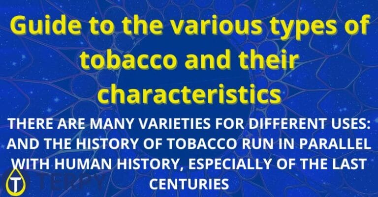 Guide to the various types of tobacco - Terpy